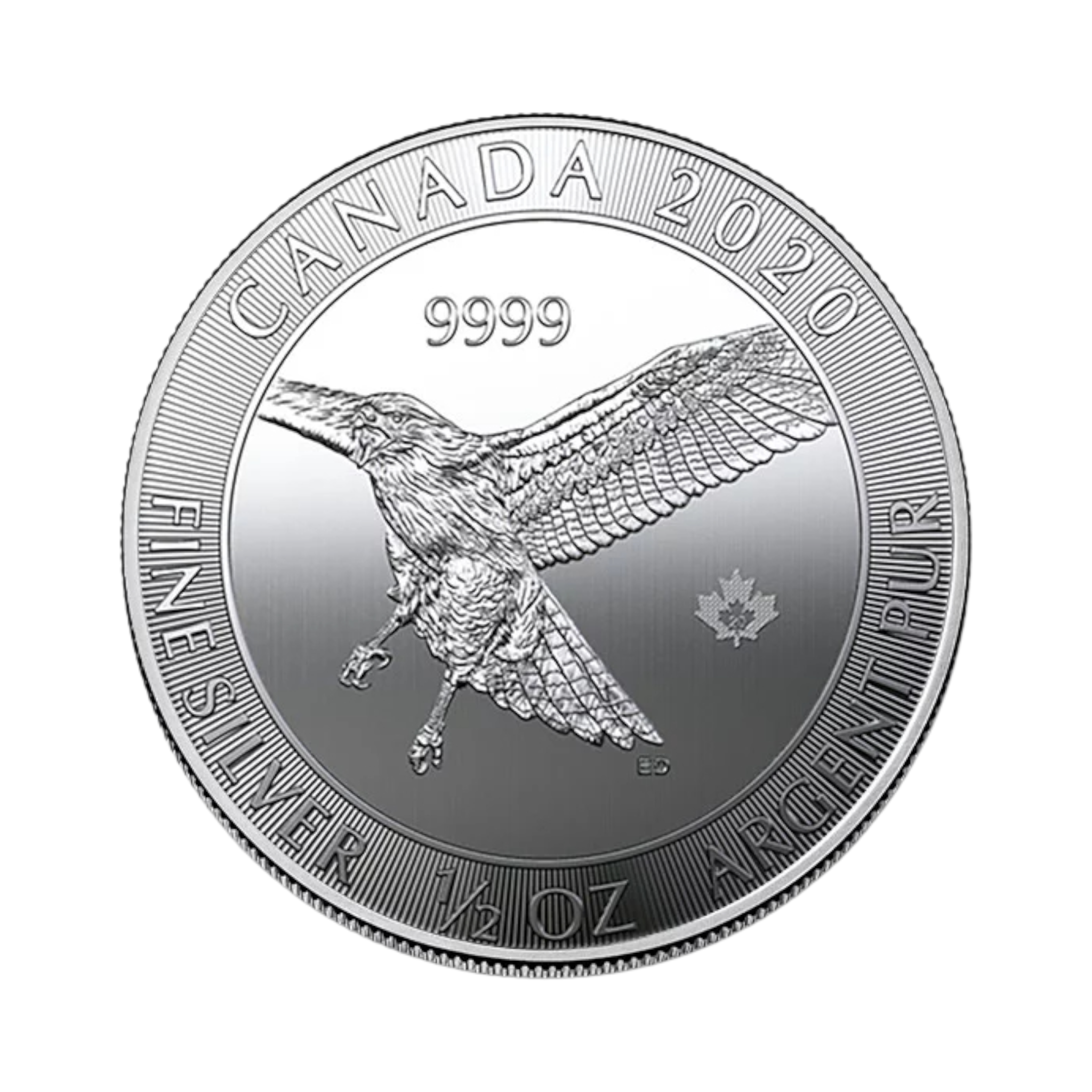 Buy 1/2 oz Canadian $2 Red-Tailed Hawk Silver Coin .9999 Fine (Random ...